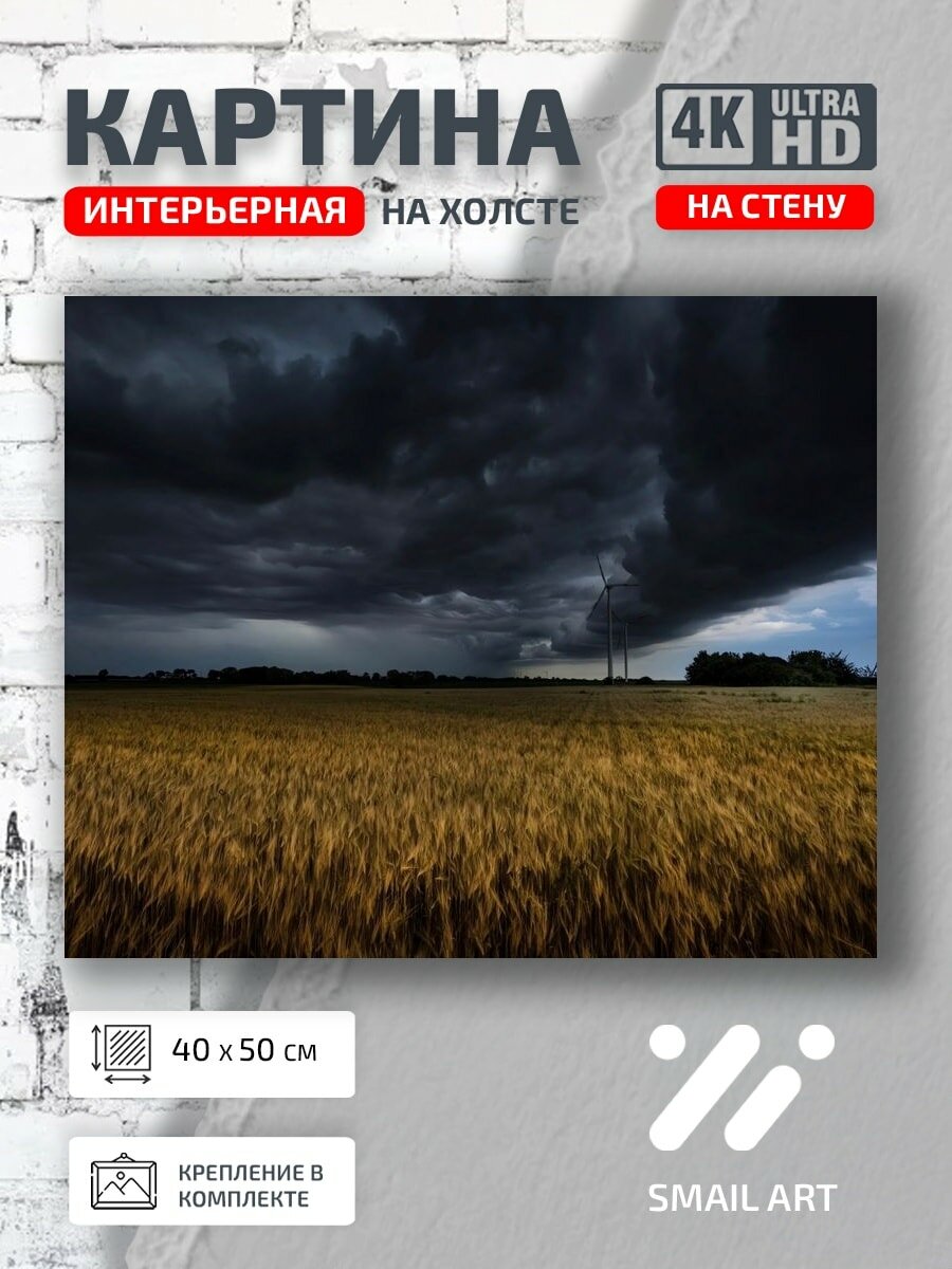 Картина на холсте интерьерная 40 на 50 на стену поле тучи для гостиной атмосфера