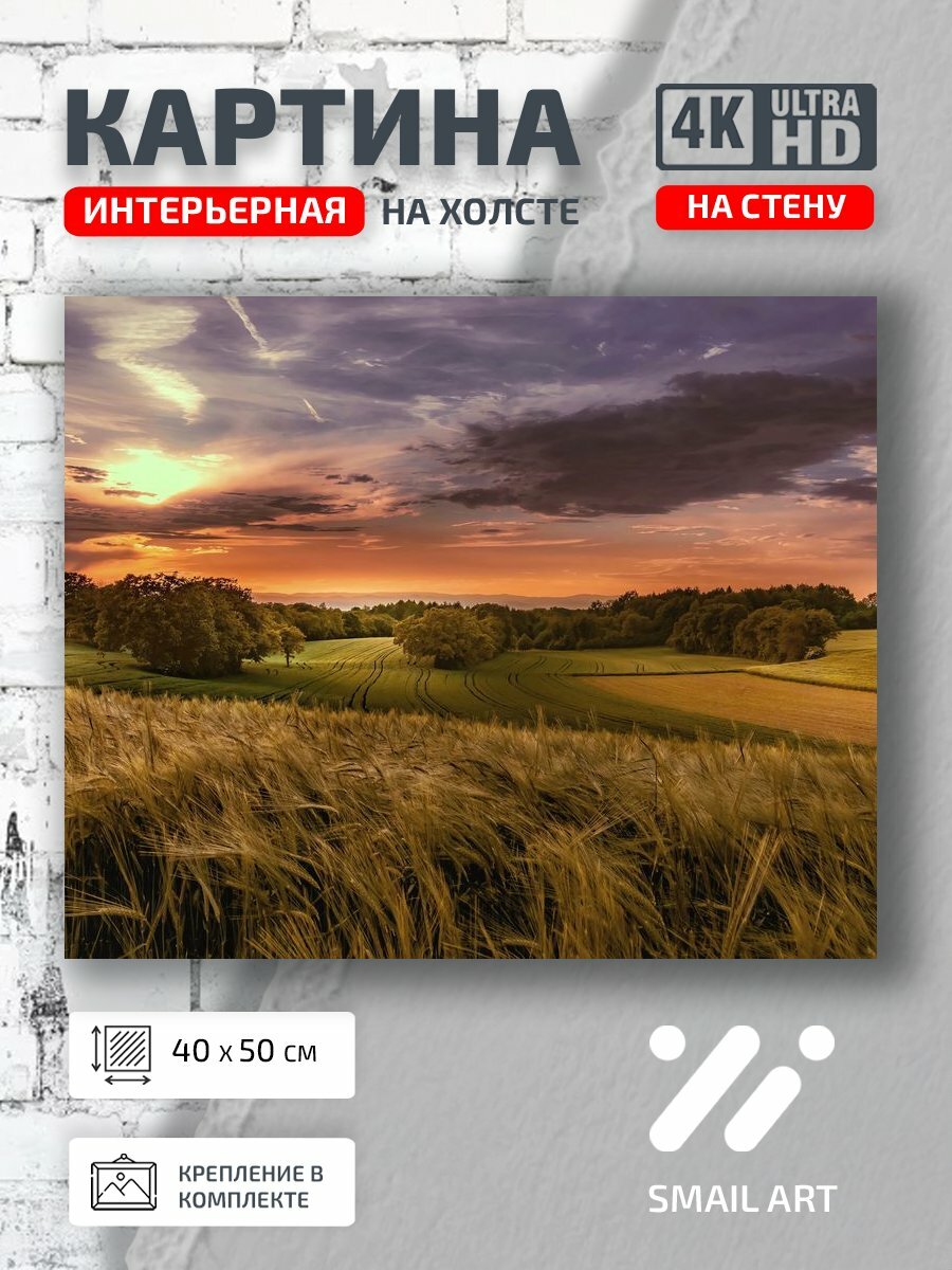 Картина на холсте интерьерная 40 на 50 на стену Небо Landscape для кабинета пейзаж интерьер