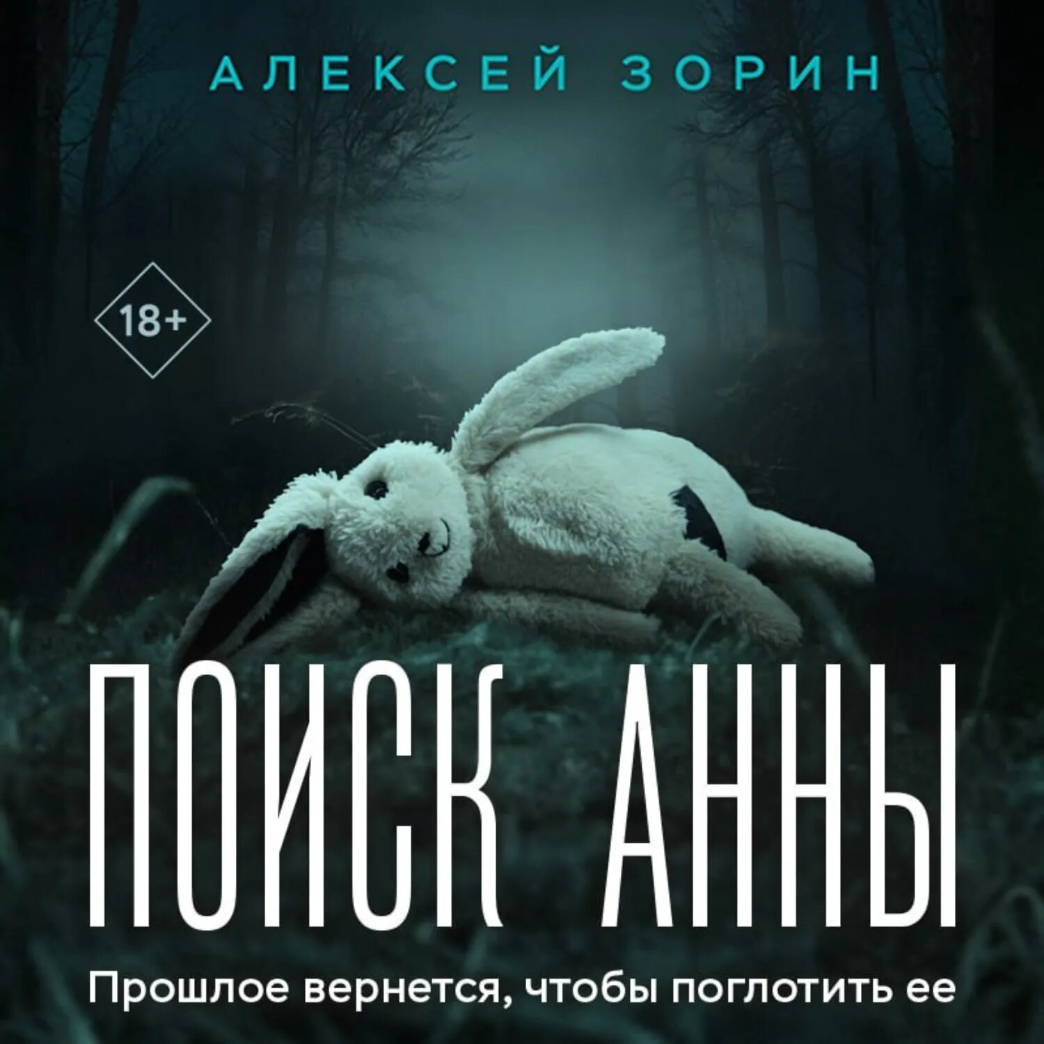 Поиск Анны [Аудиокнига]