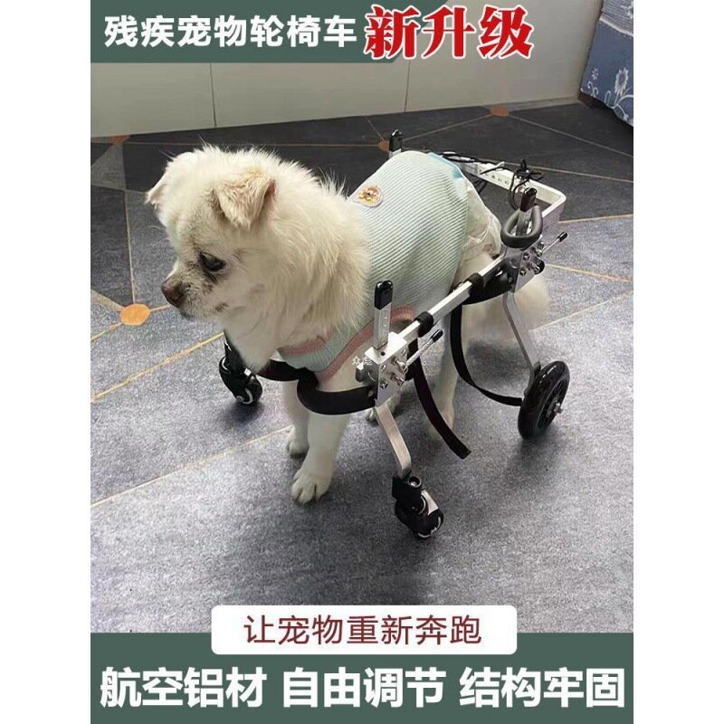 Собака инвалидная коляска парализовала задние конечности питомца скутер инвалидность собака задняя нога помощь кошка