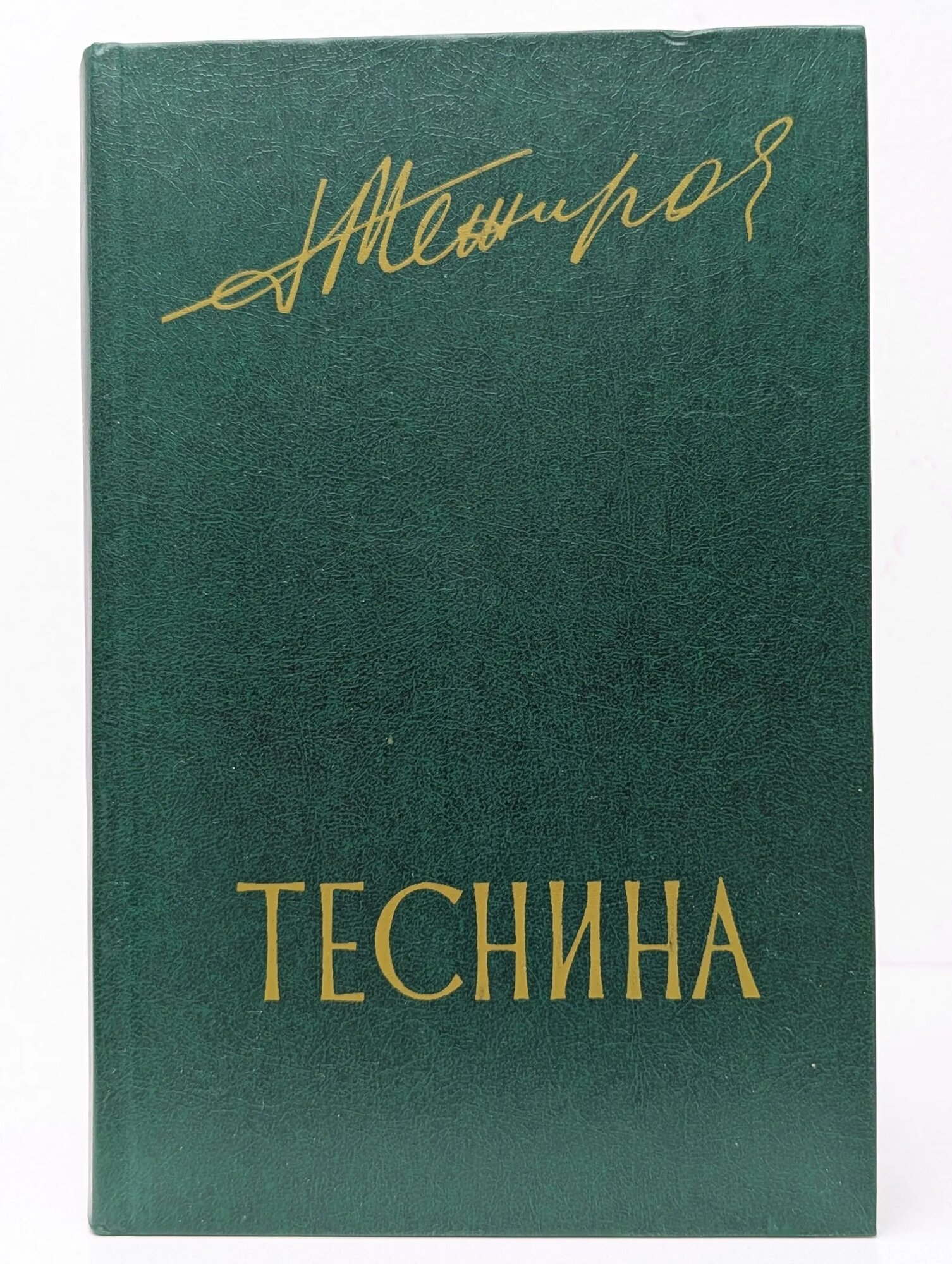 Теснина Межиров Александр Петрович 1984