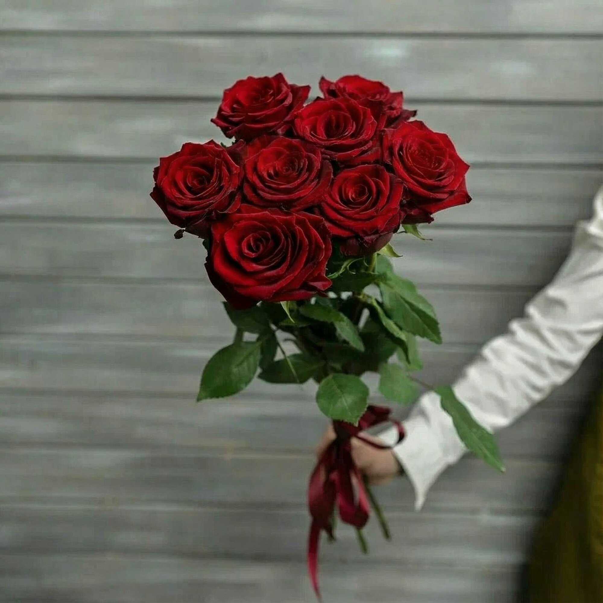 Букет из 7 роз сорта "Эксплорер" под ленту