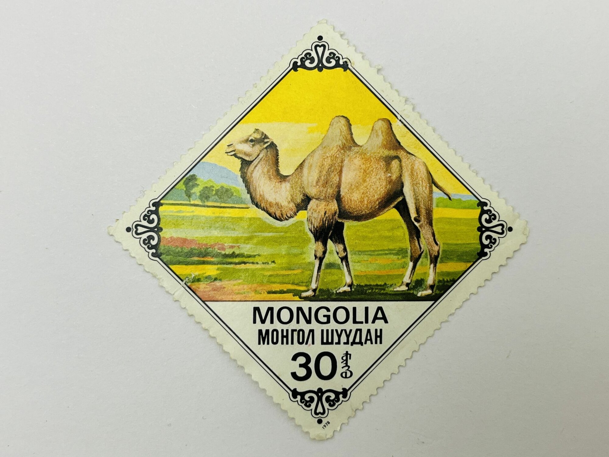 Верблюды: Двугорбый верблюд. Фауна. Монголия. 1978. Михель: MN 1186. Чист *. MH