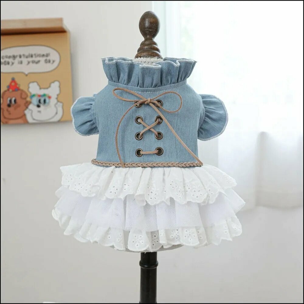 Одежда для животных