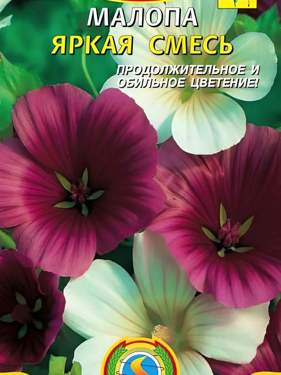 Малопа яркая смесь 0,3г, Плазменные семена