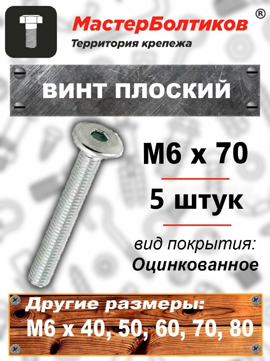 Винт плоский с внутренним шестигранником оцинкованный М6х70 (5 шт)