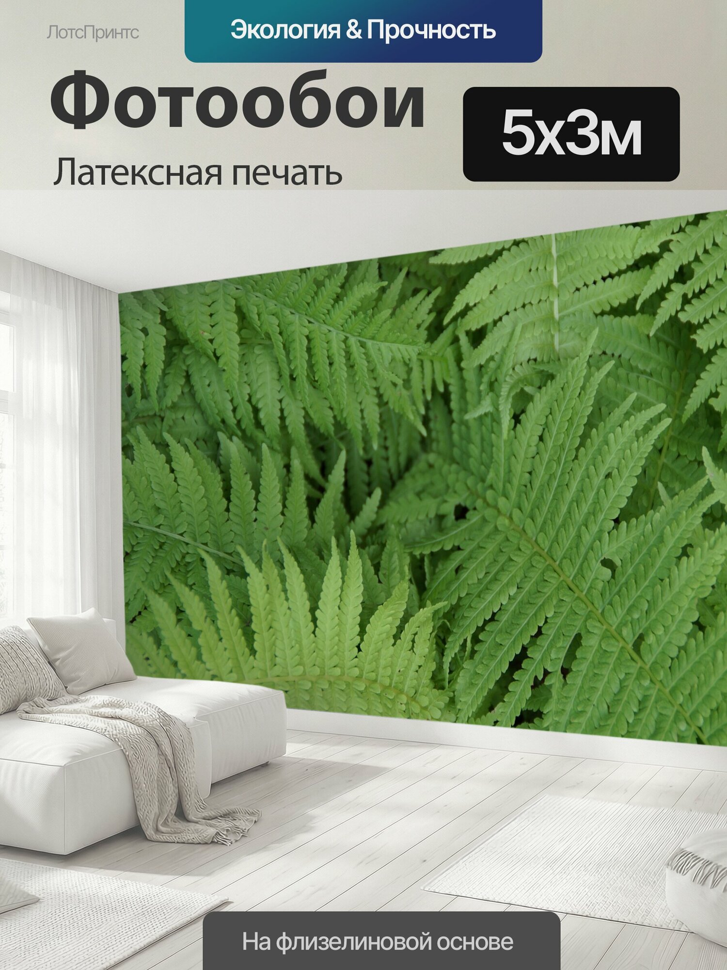 Фотообои моющиеся ударопрочные "Папоротники, листья папоротника, папоротник" 500x300 см. латексная печать