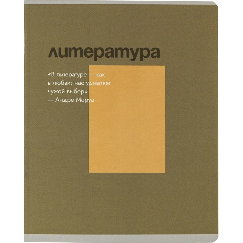 Тетрадь предметная Комус Класс Минимализм, 48 л, А5, линия, литература
