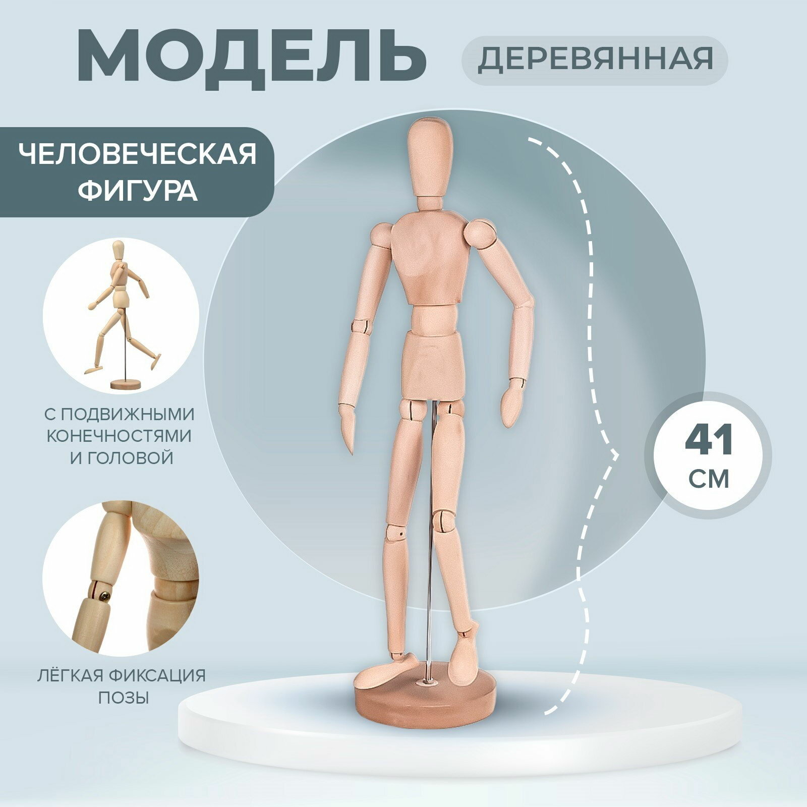 Деревянная модель - Человек 41 см, тип фигуры: анатомические детали