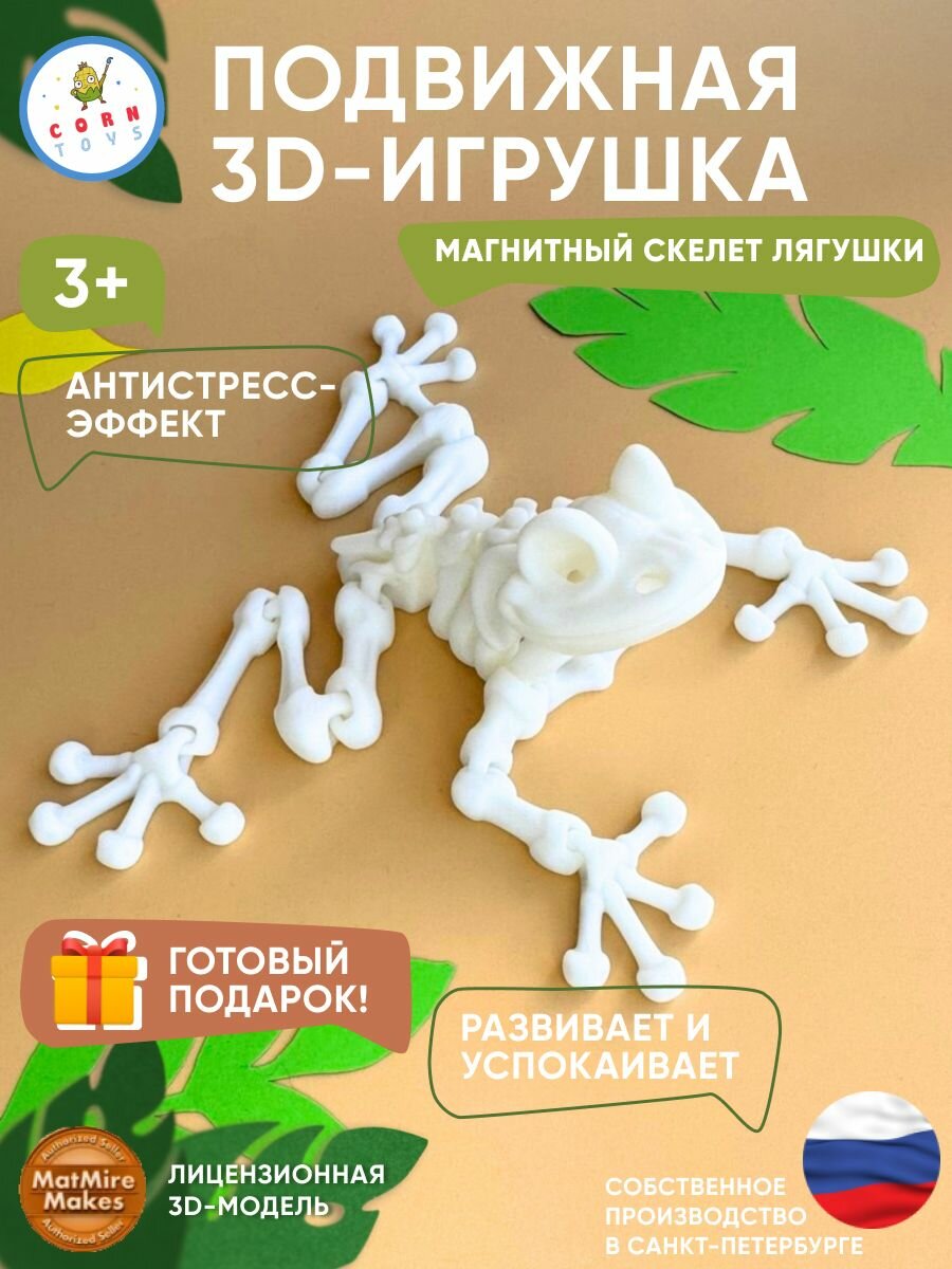 3д игрушка антистресс магнит Скелет лягушки / Развивающая подвижная игрушка / Подарок для детей от 3 лет