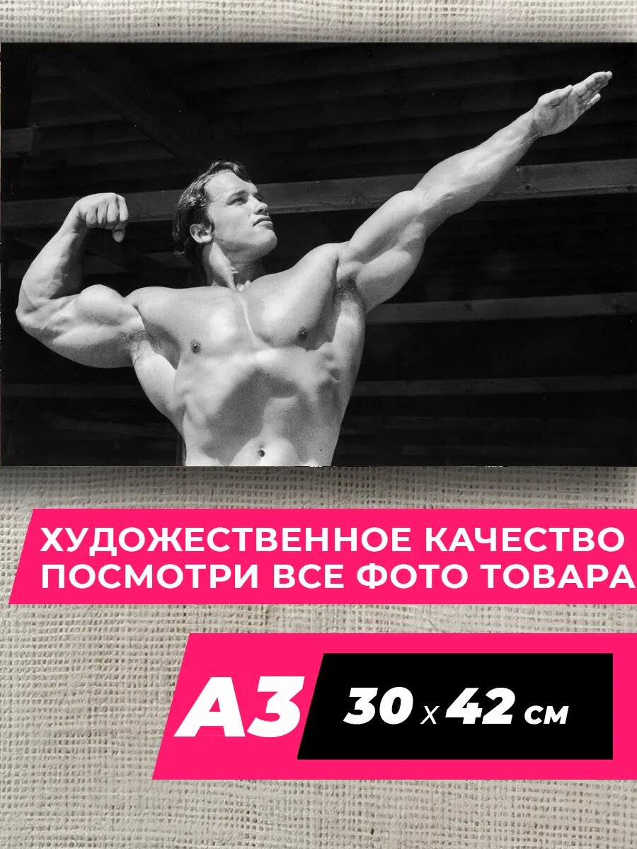 Постер Шварценеггер Арнольд на стену 24 A3, матовая фотобумага премиум качества