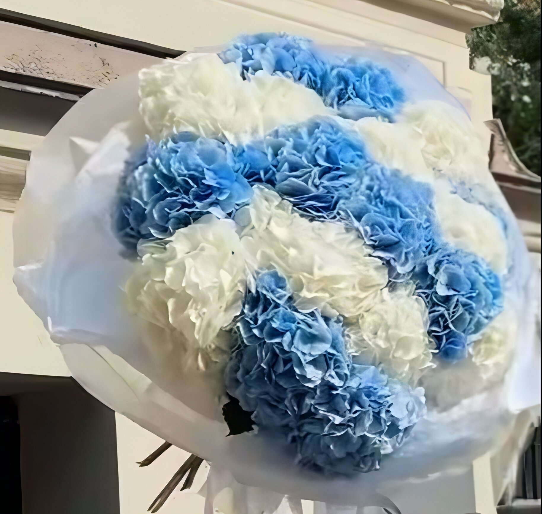 Букет из голубых и белых гортензий красивый букет премиум букет премиум цветы