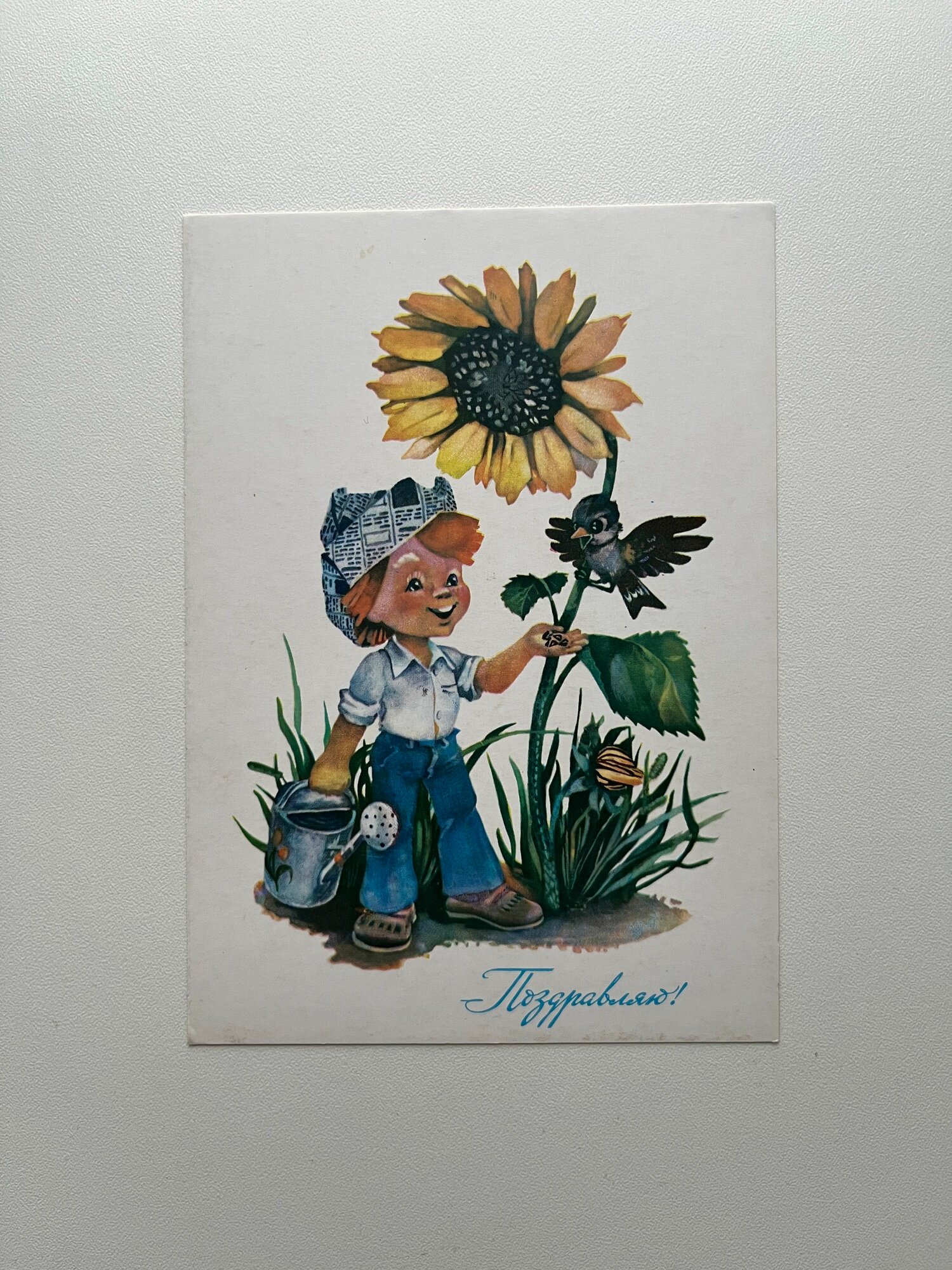 Винтажная открытка СССР Поздравляю! . Мальчик и подсолнух. Художник Ю. Ясюкевич. Издана в 1985 году