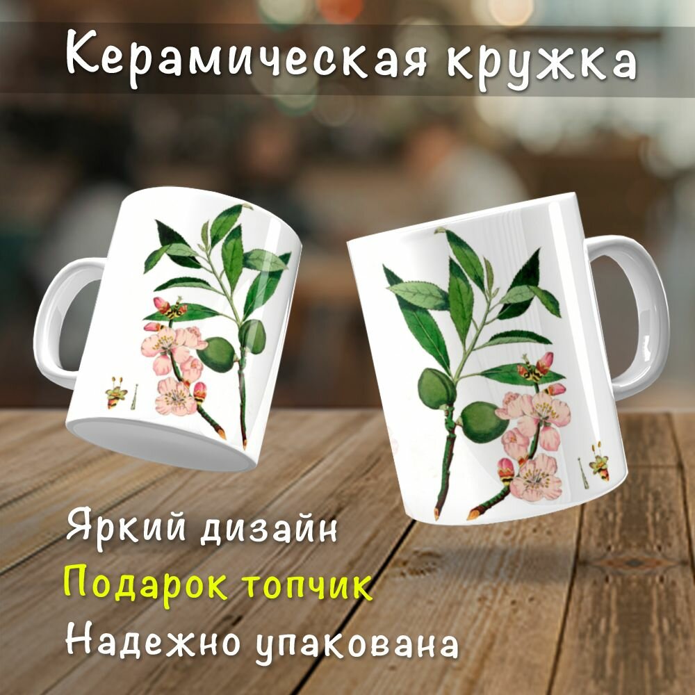 Кружка керамическая "Растения из иллюстраций 3"