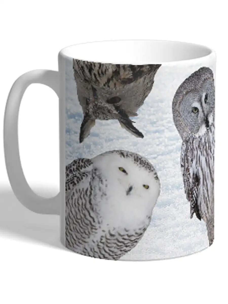 Кружка керамическая с рисунком Совы на снегу, подарочная, 330 мл
