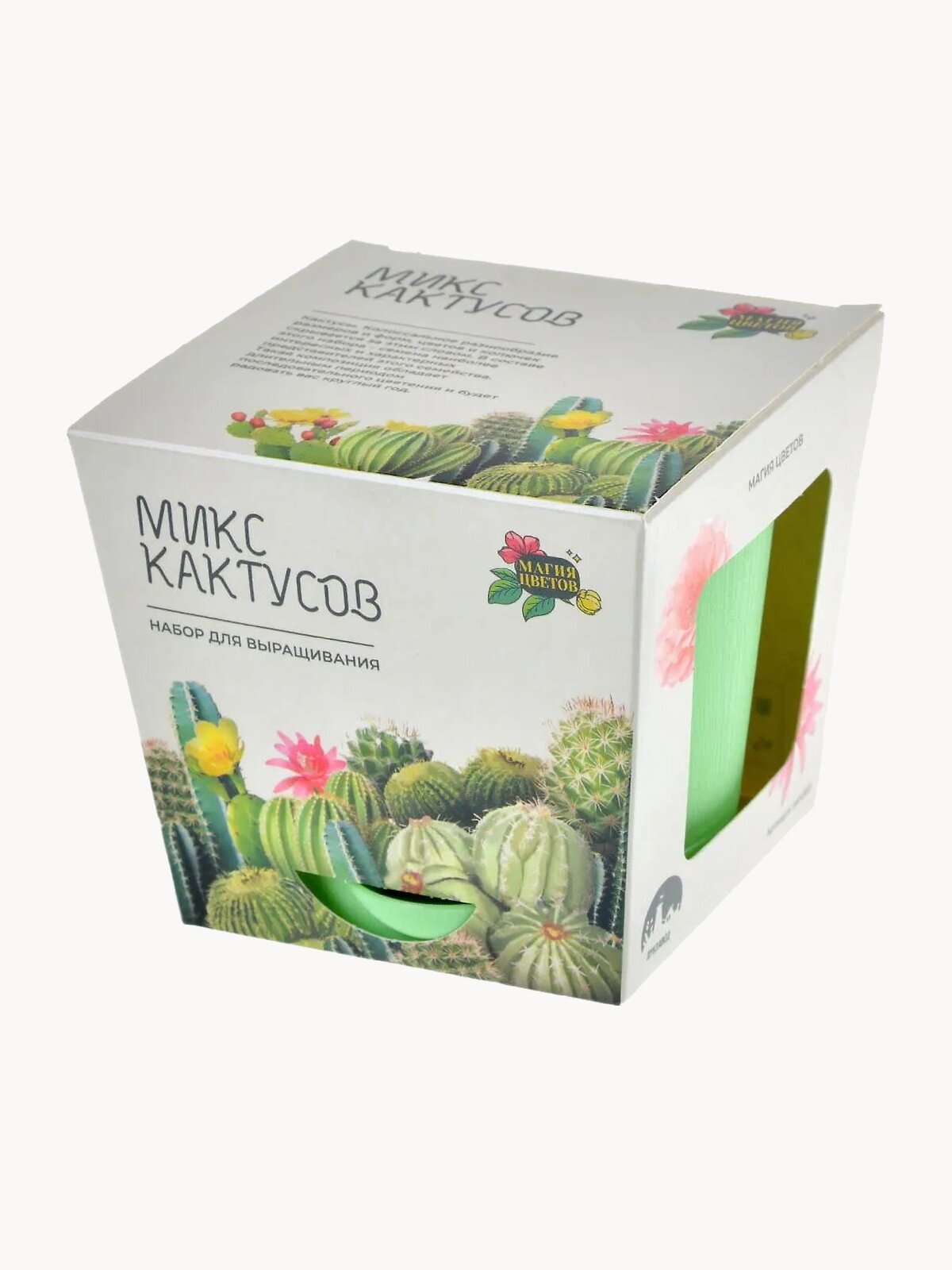 Набор для выращивания растений от бренда Магия цветов "Микс кактусов",