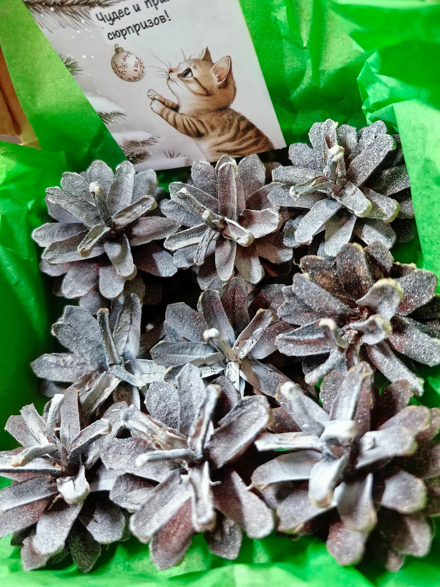 Шишки для декора и поделок. Натуральные .