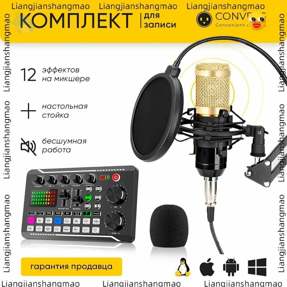 Эксклюзивный комплект для студийной записи с конденсаторным микрофоном и микшером