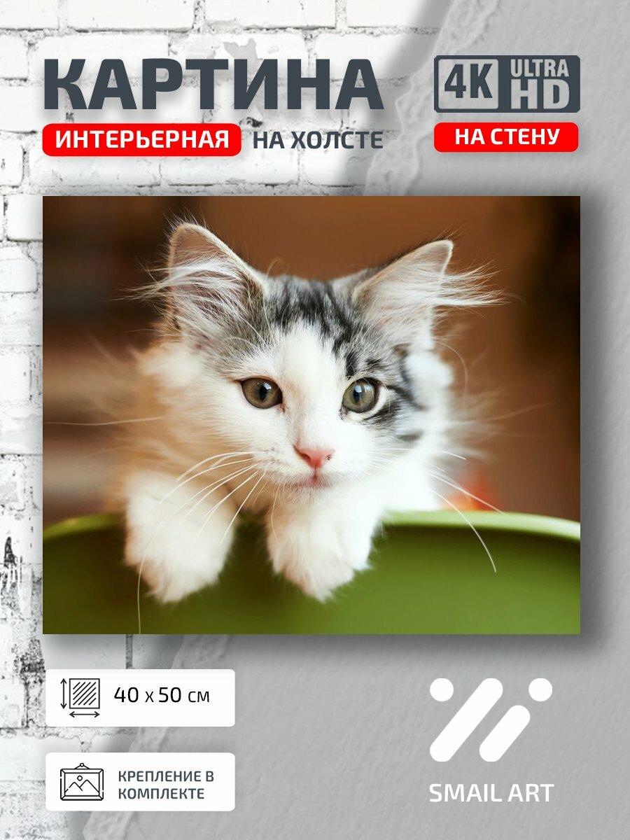 Картина на холсте интерьерная 40 на 50 на стену Белый Landscape для кафе пейзаж интерьер
