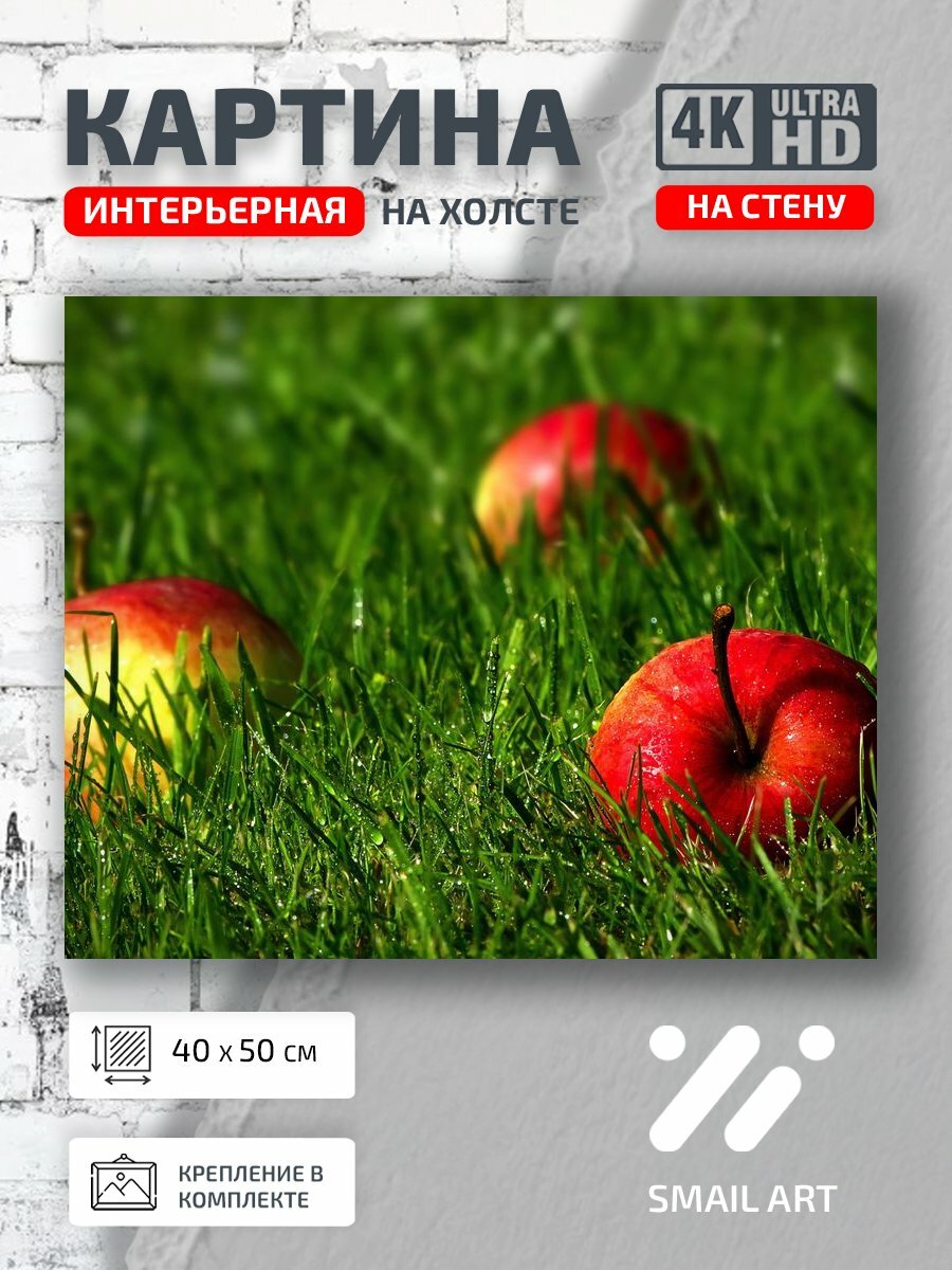 Картина на холсте интерьерная 40 на 50 на стену Капли apple для кабинета пейзаж интерьер