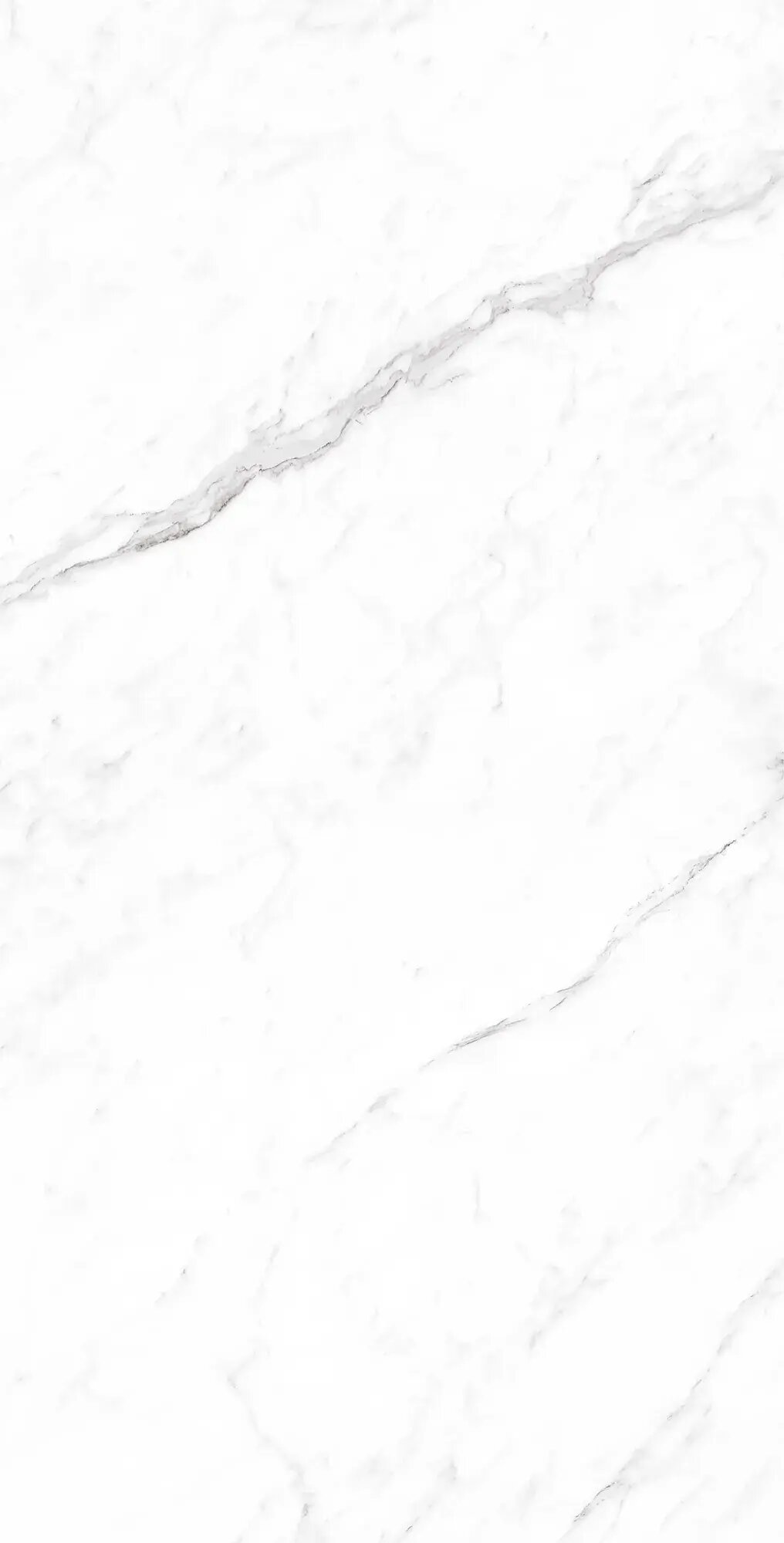 Керамогранит Arcadia Ceramica 60х120 CP4003-A 60x120 Карвинг Белый