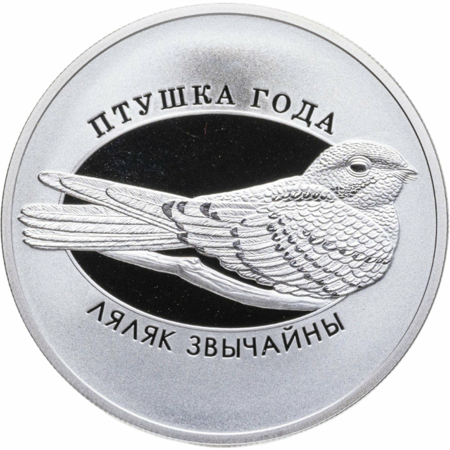Беларусь 10 рублей 2021 "Птица года - Козодой обыкновенный" с сертификатом, Серебро 925, в сохранности Proof