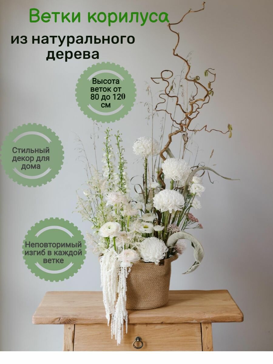 Ветка, шишка декоративная