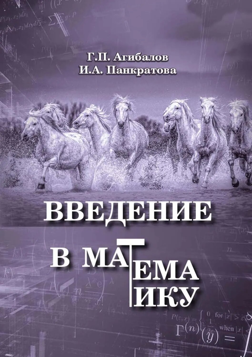 Введение в математику [Цифровая книга]