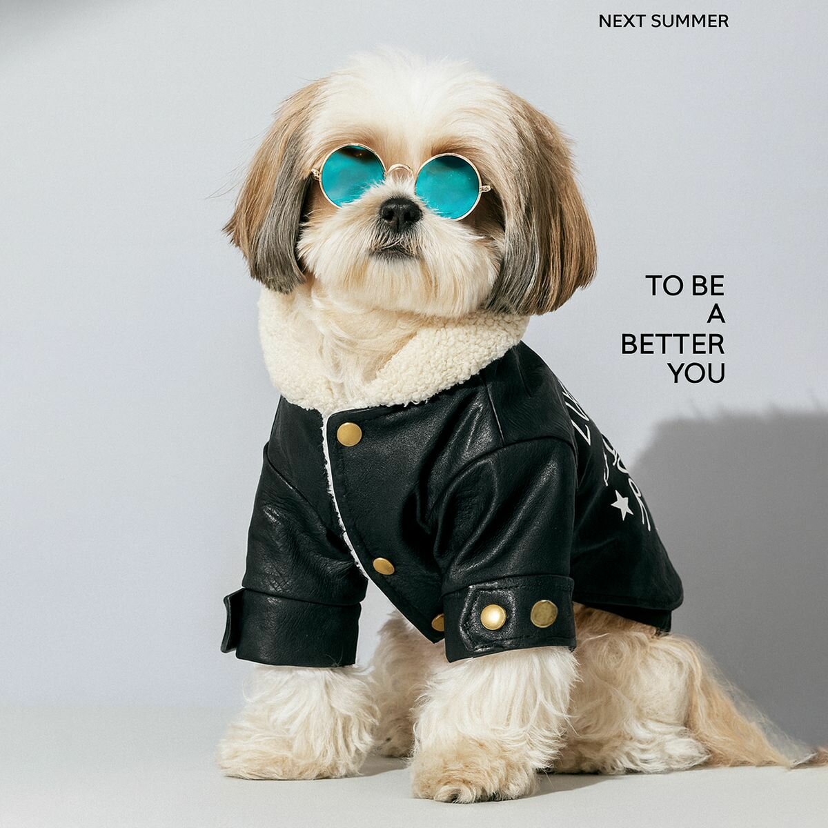 Домашние кошки и собаки осенью и зимой, а также бархатная джинсовая куртка из красивой хлопчатобумажной кожи, черная, XL