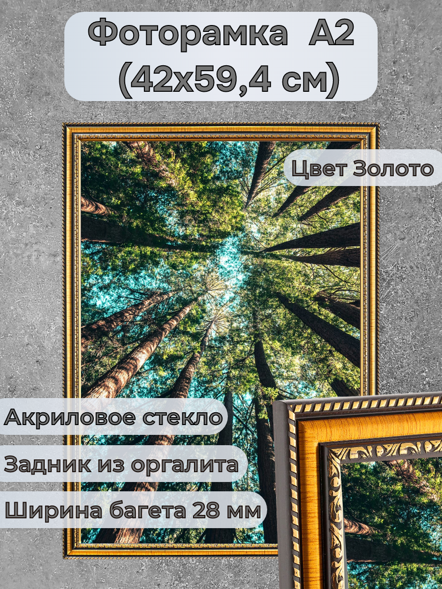 786 Рамка из пластика 42x59,4 см золото с пластиком, задник ДВП