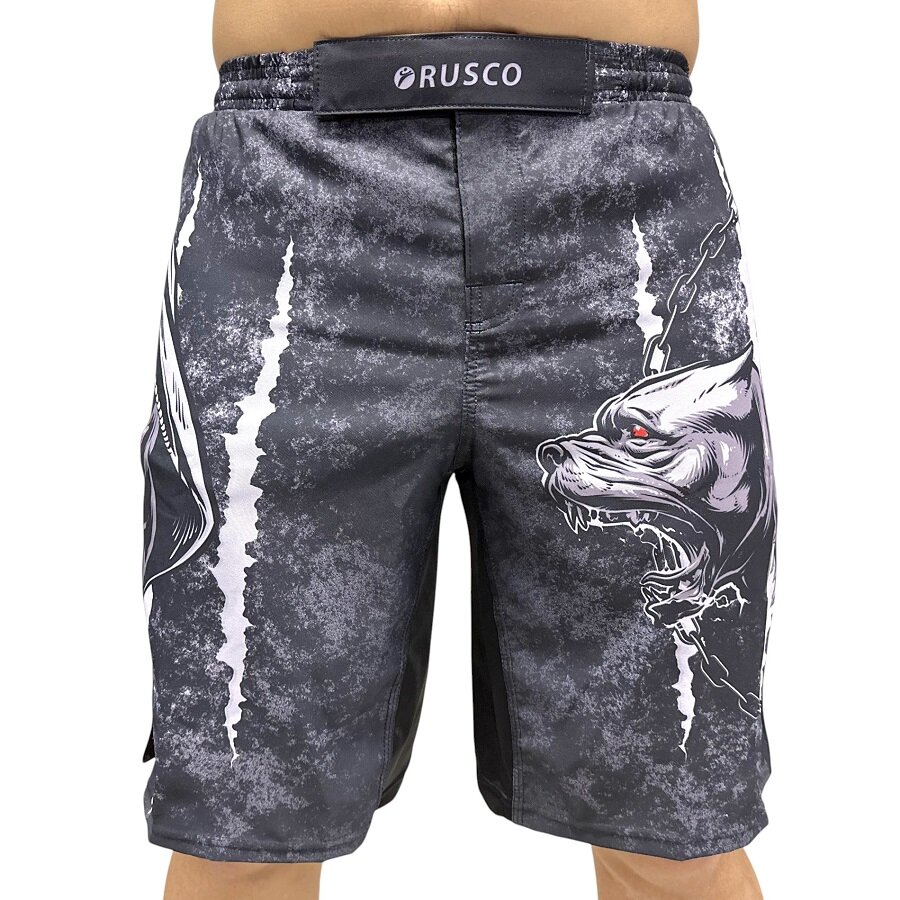 Шорты спортивные Cerberus
