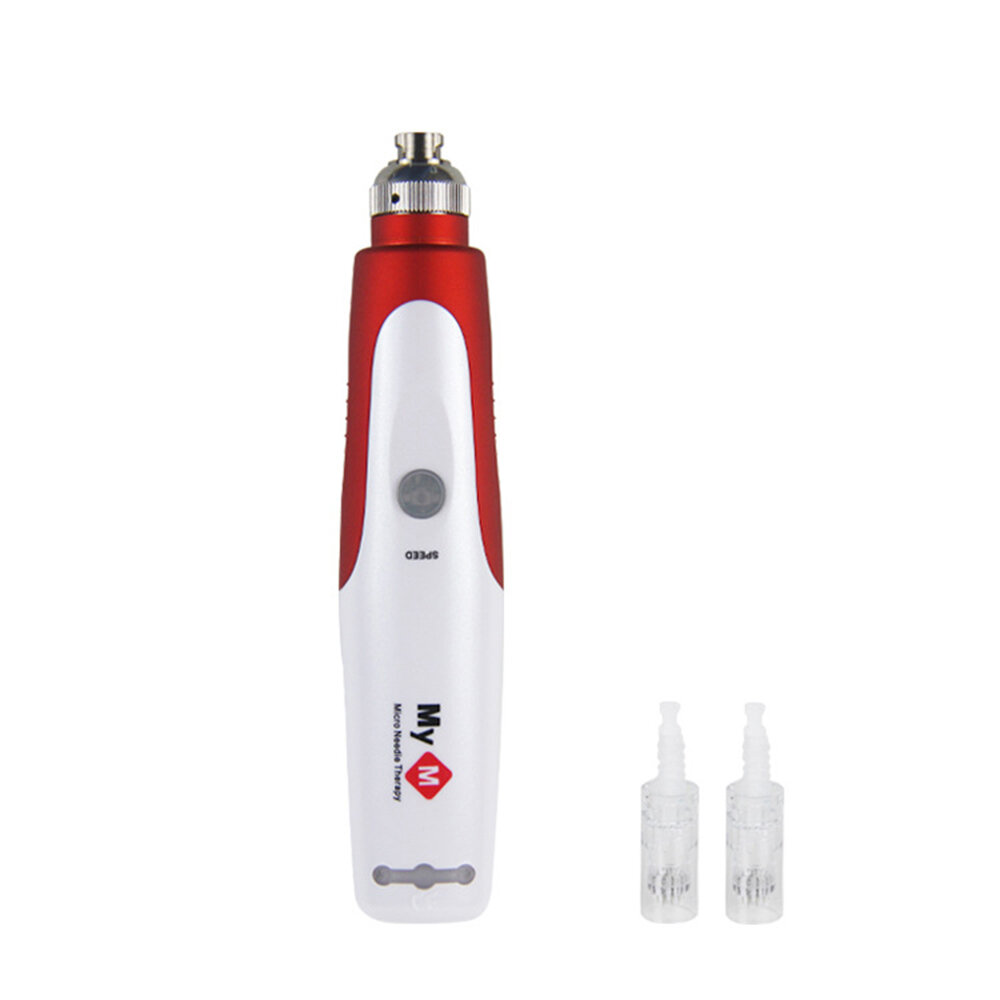 Беспроводной микроигольчатый пик для моделирования с 2-мя иглами, микроигольчатая машина, дерма-пик, терапевтические иглы, инструмент для ухода за кожей, материал ABS, адаптер 3 типа (по выбору), напряжение 100V-240V, скорость 5 уровней, емкость батареи