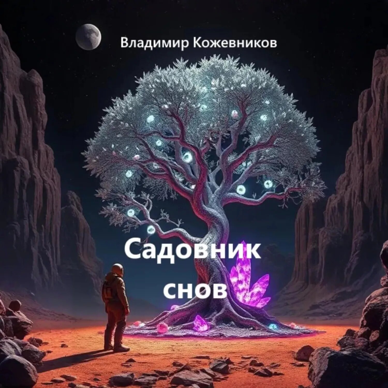 Садовник снов [Аудиокнига]
