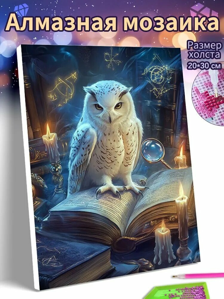 Алмазная мозаика холст на подрамнике 20x30 "Совиная книга" / алмазная вышивка