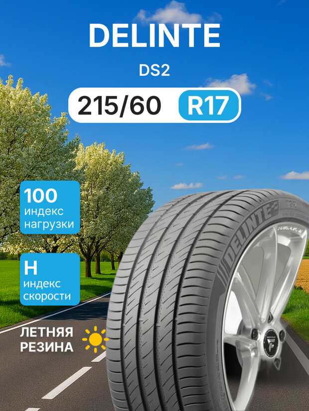 Летняя шина Delinte DS2 215/60 r17 100H