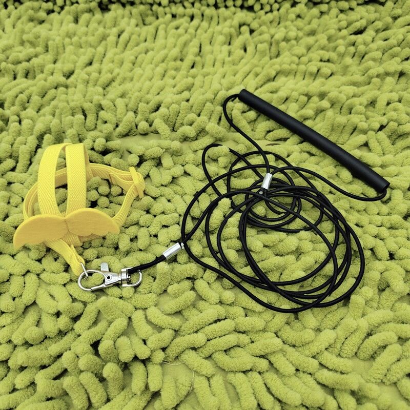 Летающая веревка для попугая, поводок для попугая, тренировочная веревка для попугая, регулируемый тип шлейки, веревка для выгула птиц