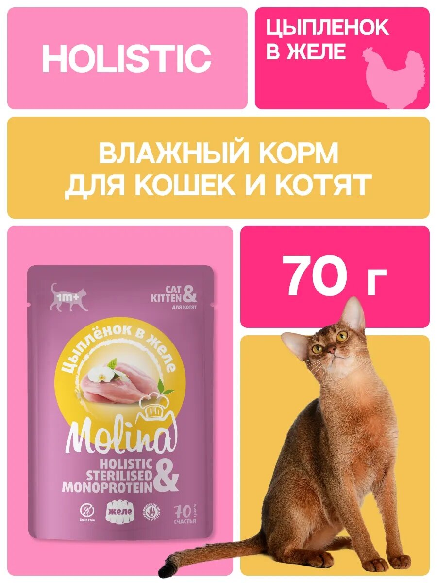Влажный корм Molina для котят и кошек любых пород, цыплёнок в желе 70гр
