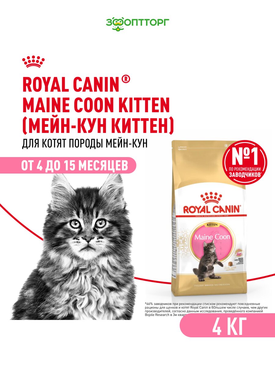 Сухой корм Royal Canin Maine Coon Kitten для котят породы мейн-кун Птица, 4 кг.
