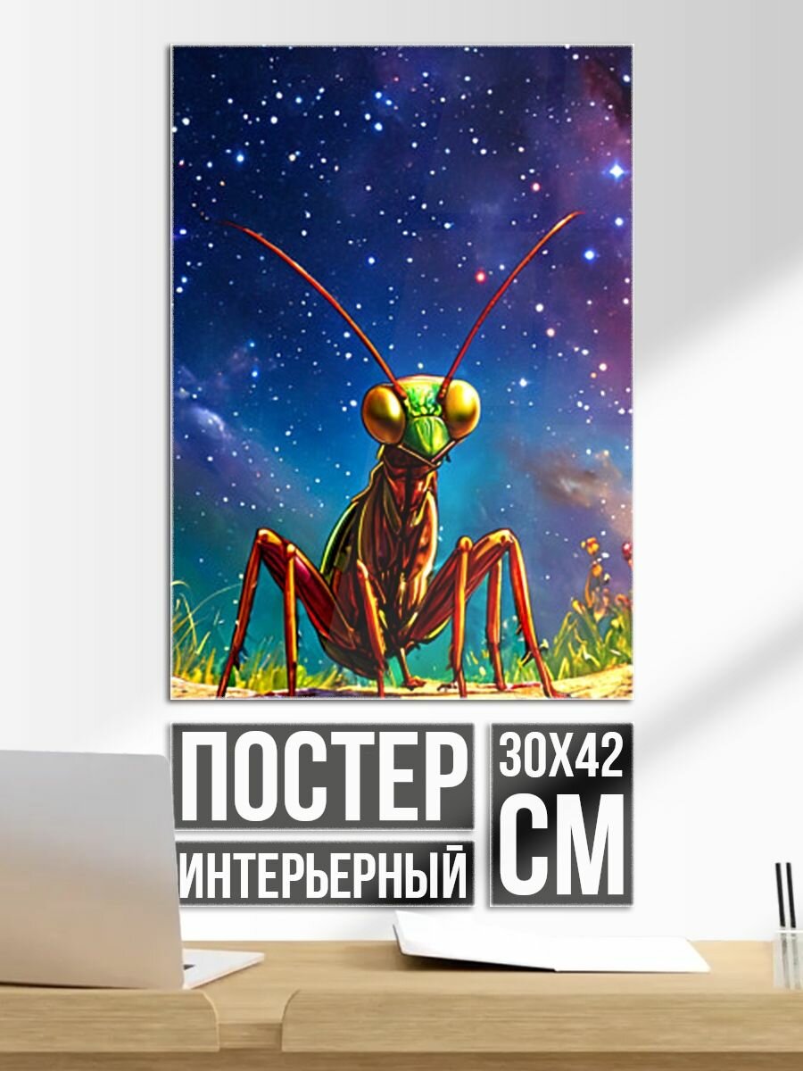 Постер на стену Богомол и звездное небо