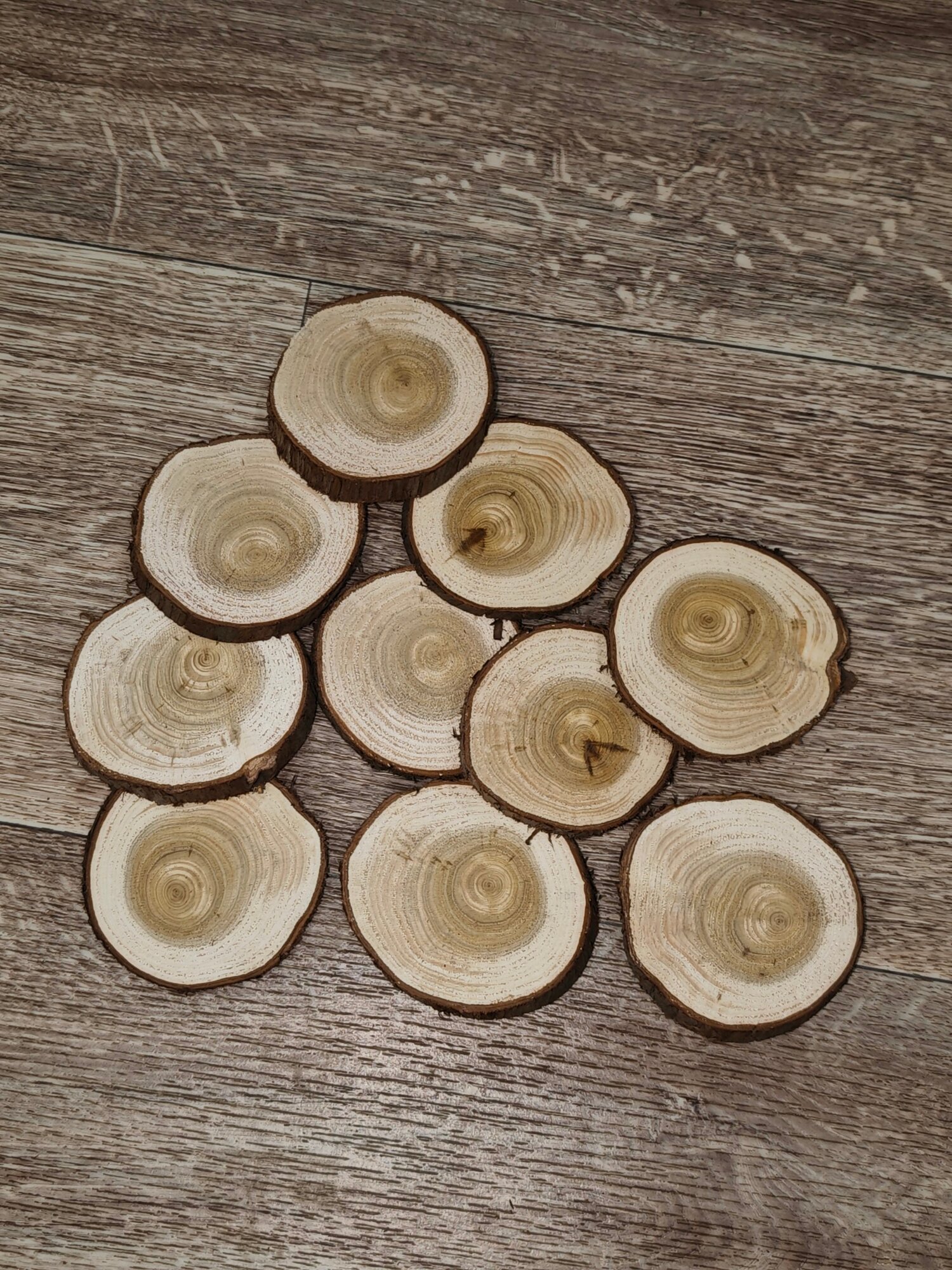 Спилы туи, диаметр 6-7см, толщина 8-9 мм, 10 штук.