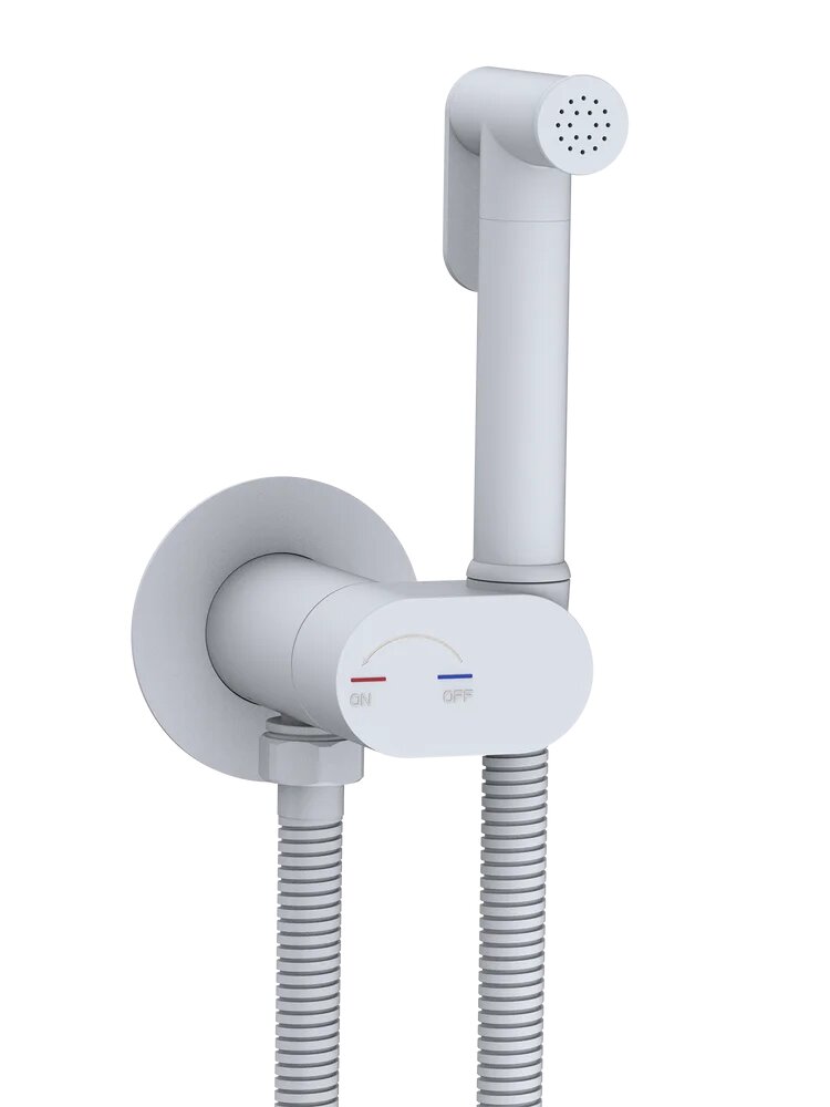 Гигиенический душ Weltwasser Higi R01 WT встраиваемый, скрытого монтажа, со смесителем, белый, матовый, латунь, рычажный, с защитой от обратного потока, смеситель для биде
