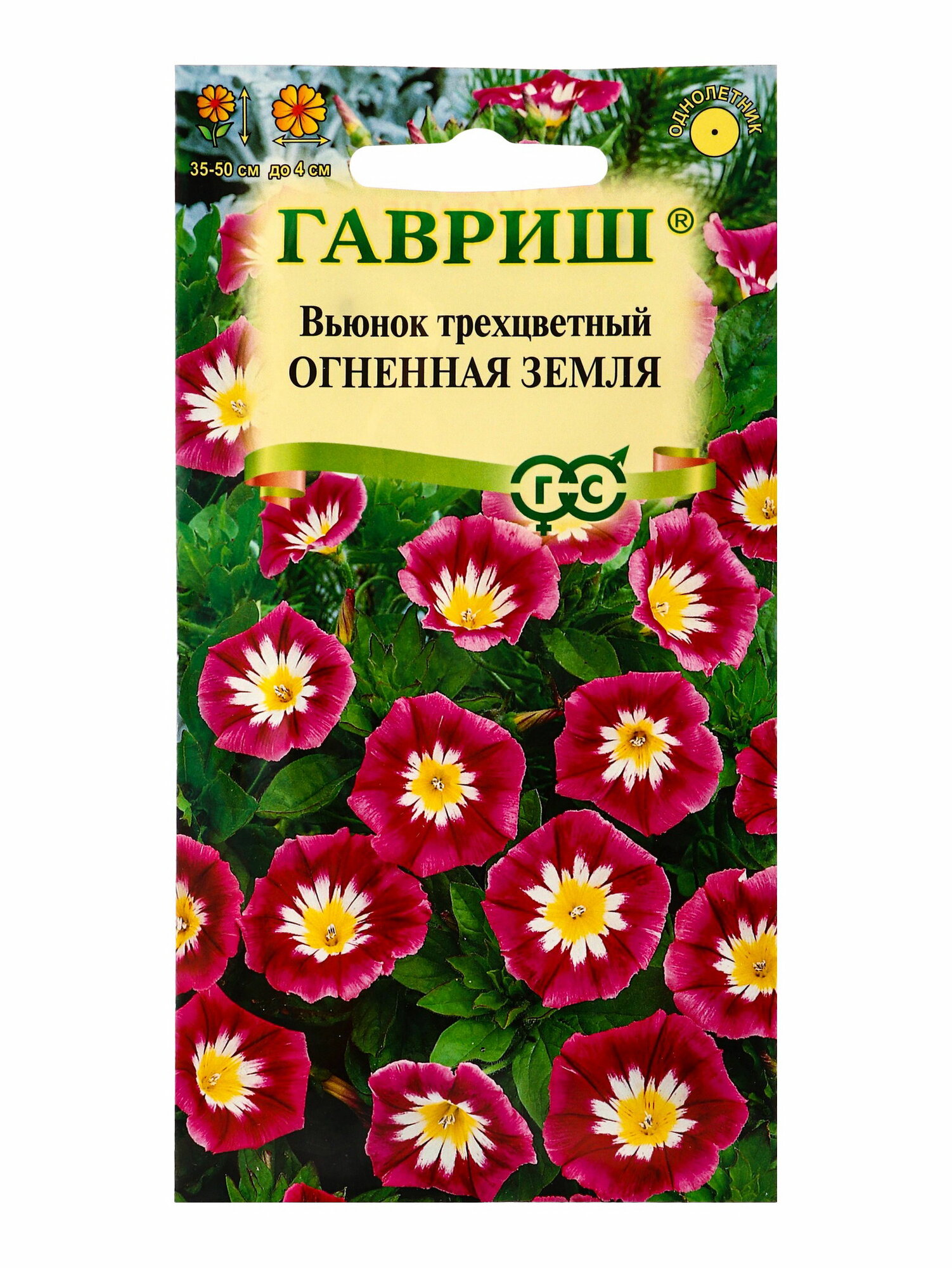 Семена цветов Вьюнок трехцветный "Огненная земля" 0.5 г, цветение период: август, 6 шт.