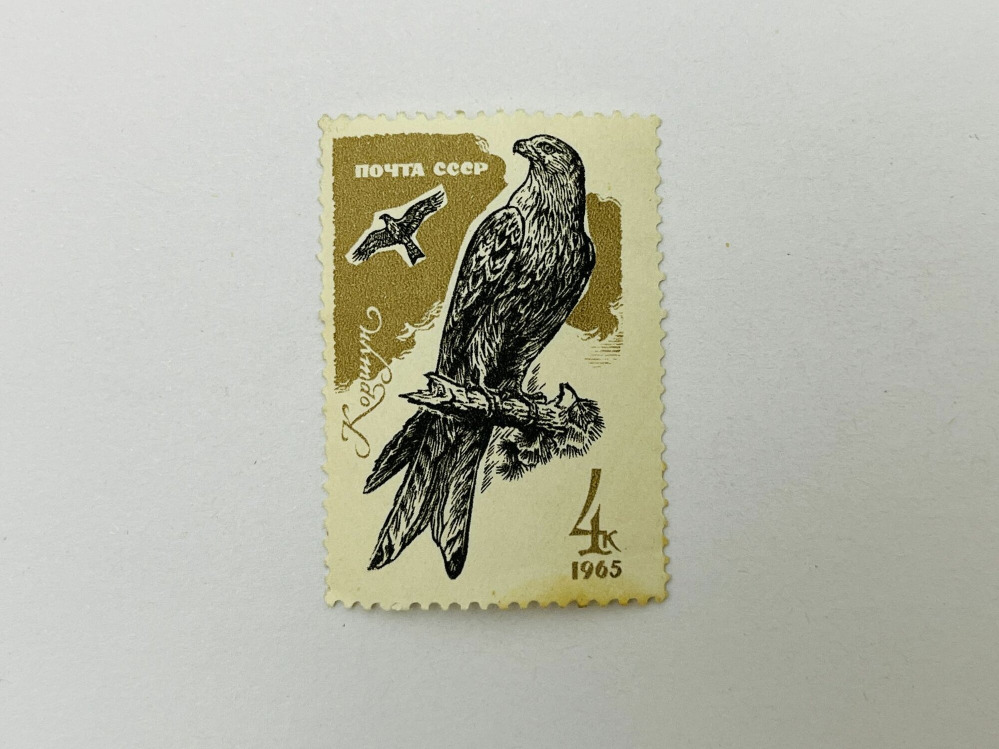 Хищные птицы: Коршун. Фауна. СССР. 1965. Загорский: 3199. Чист **. MNH
