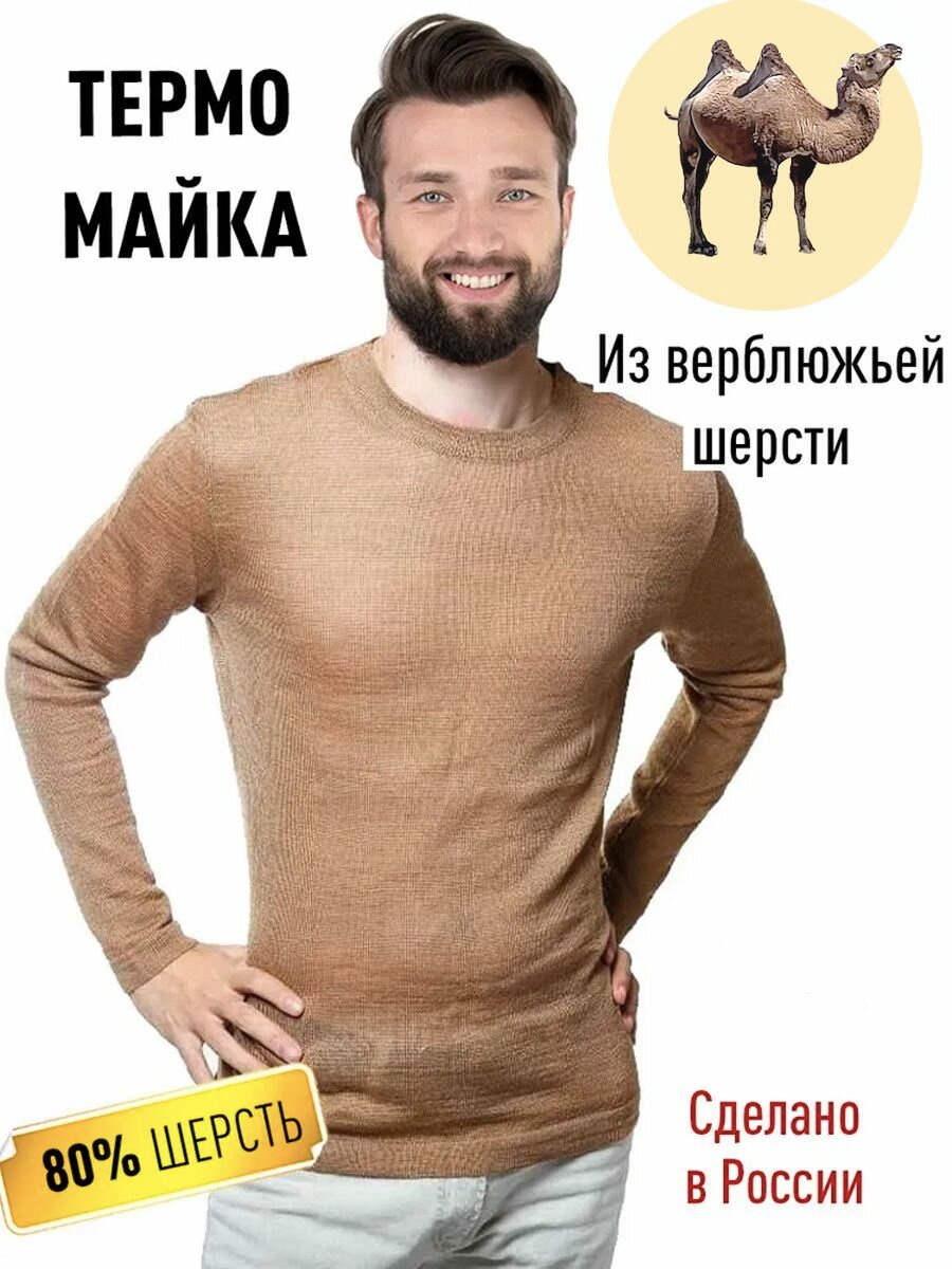 Темрофутболка Осень-зима 2023