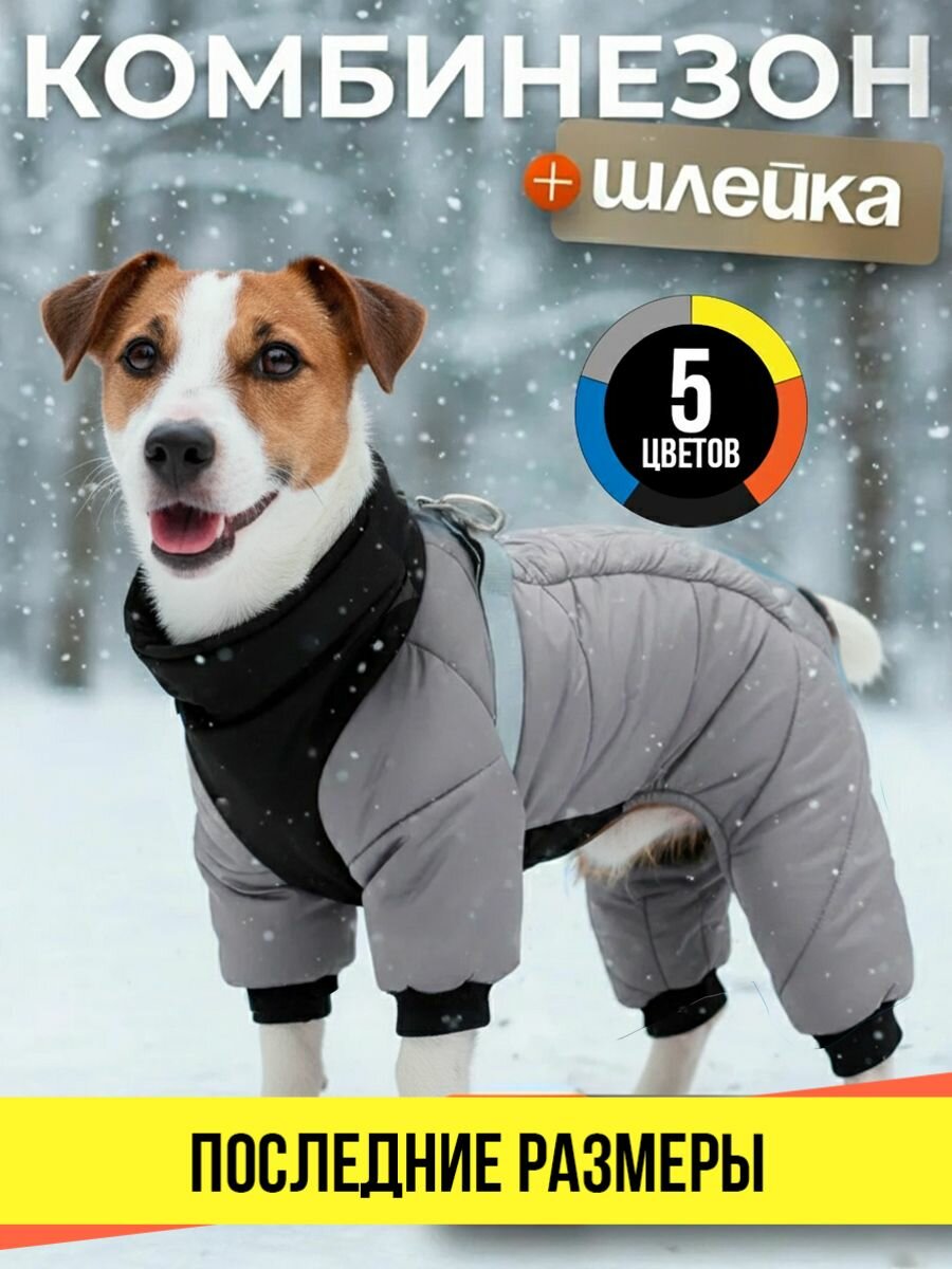 Зимний комбинезон для собак мелких пород MiloPets, M