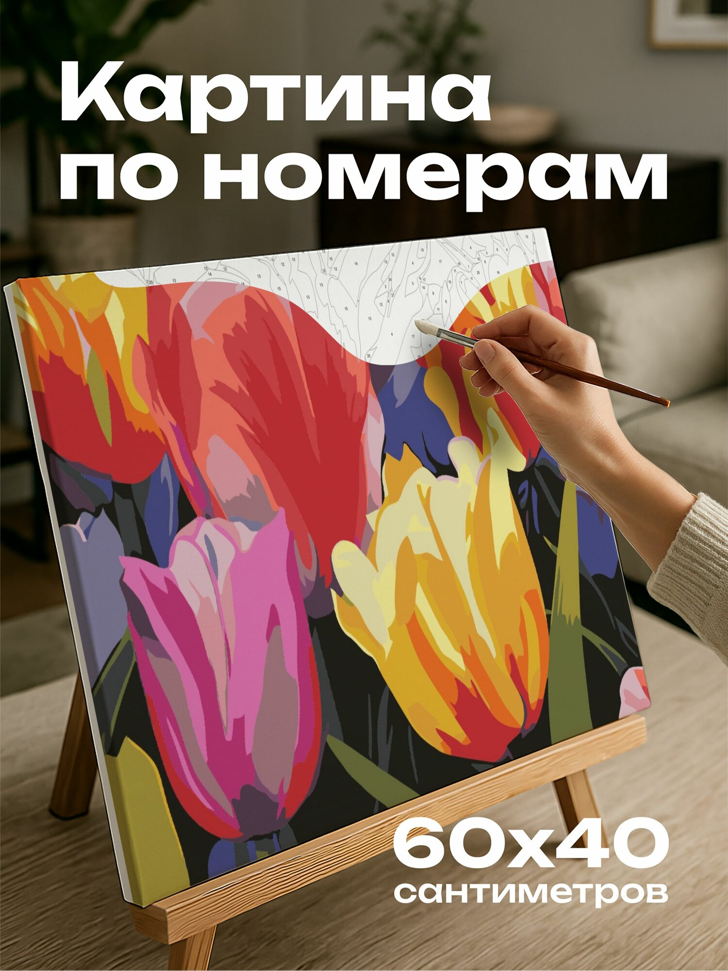 Картина по номерам 60x40 см, реактивный самолет-тюльпа, ясное голубое небо, аэродинамический дизайн, красные цвета