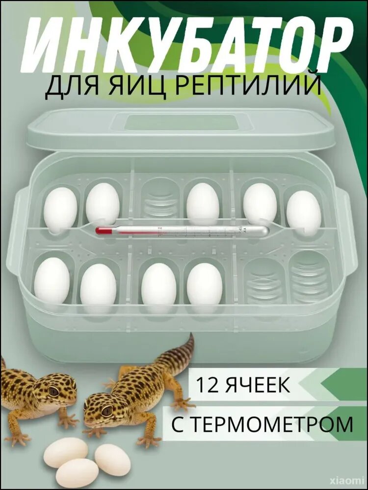 Инкубатор для рептилий