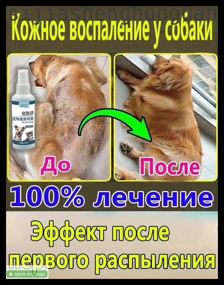 Спрей от стригущего лишая для кошек и собак , 100 мл, для ухода за кожей домашних животных, наружное применение