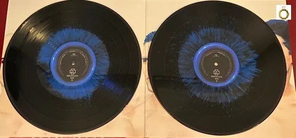 Rammstein Herzeleid XXV Vinyl Пластинка виниловая Limited Edition 2 x LP Album США — фото 1