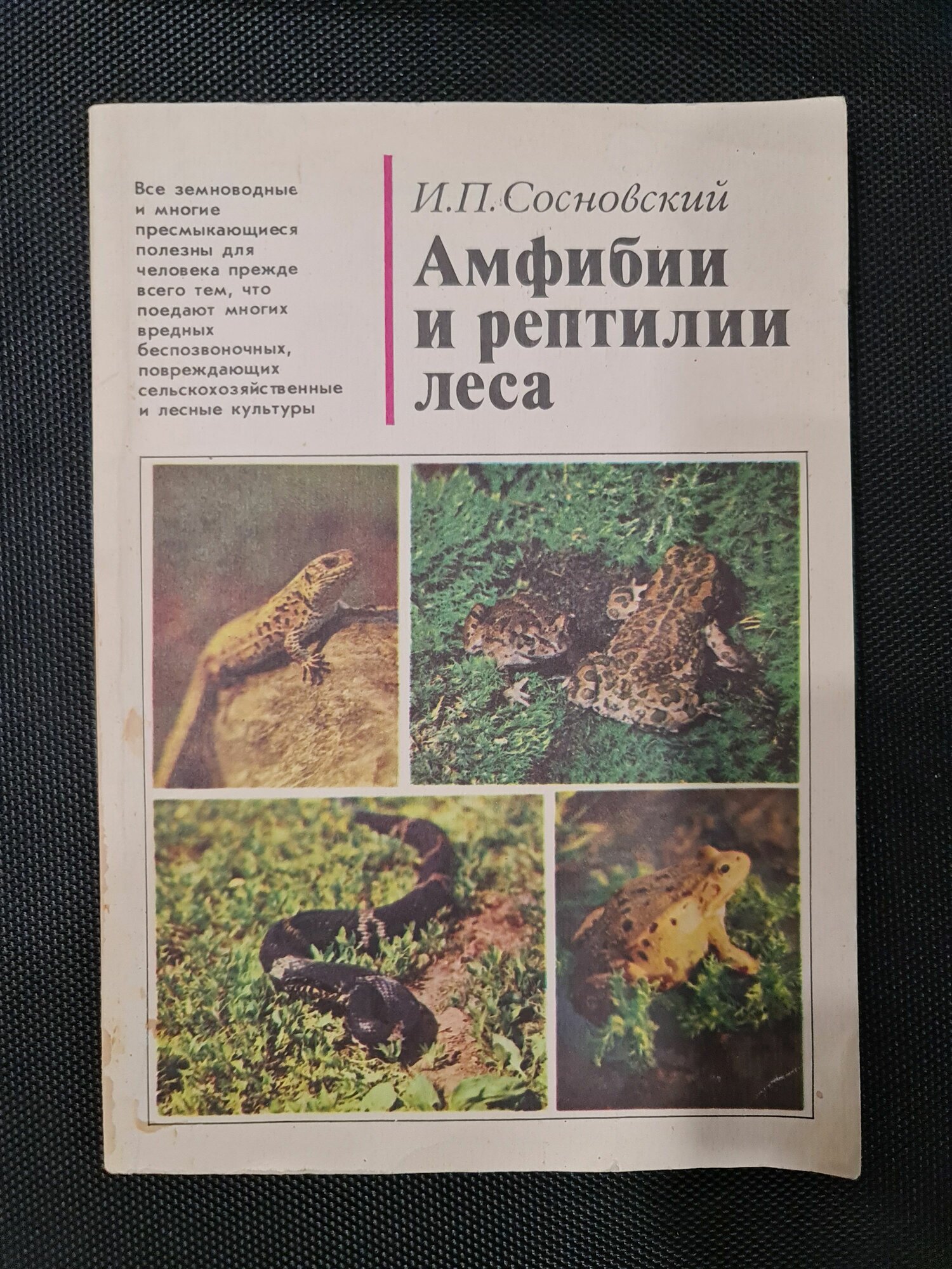 Редкая книга И. Сосновский - Амфибии и рептилии леса, 1983 г.